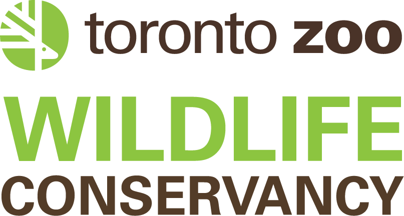 Fundraise for the Toronto Zoo Wildlife Conservancy