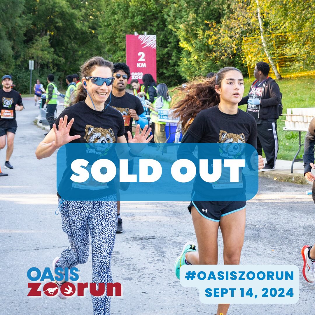 Canada Running Series